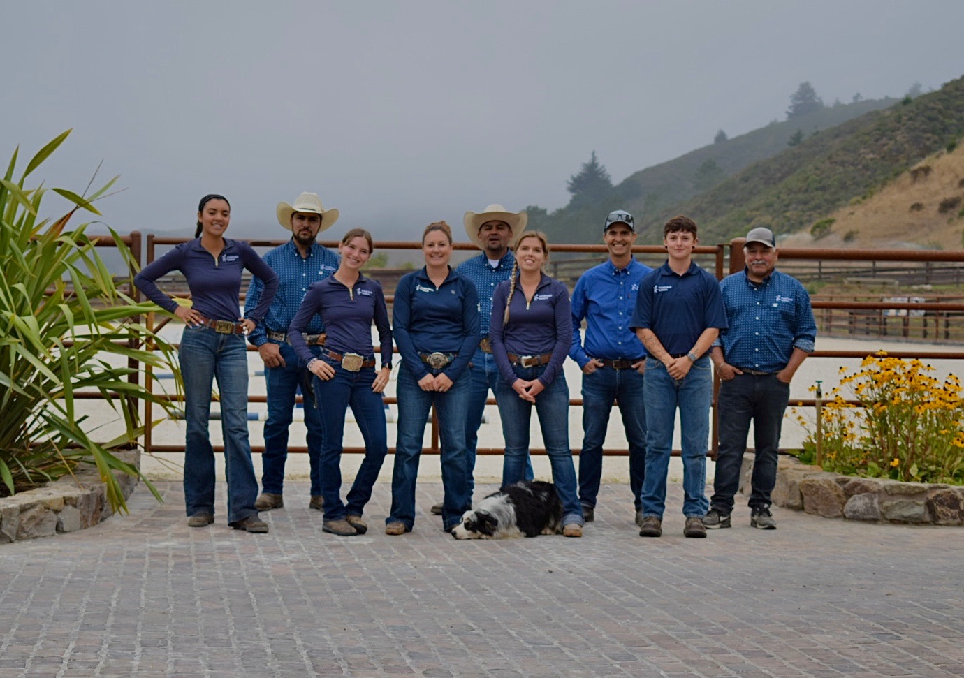 About Us - Pomponio Ranch Stallions
