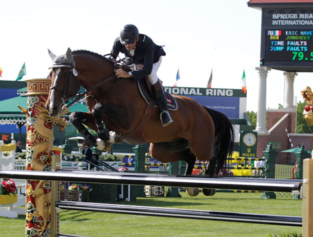 Jonkheer Z - Pomponio Ranch Stallions