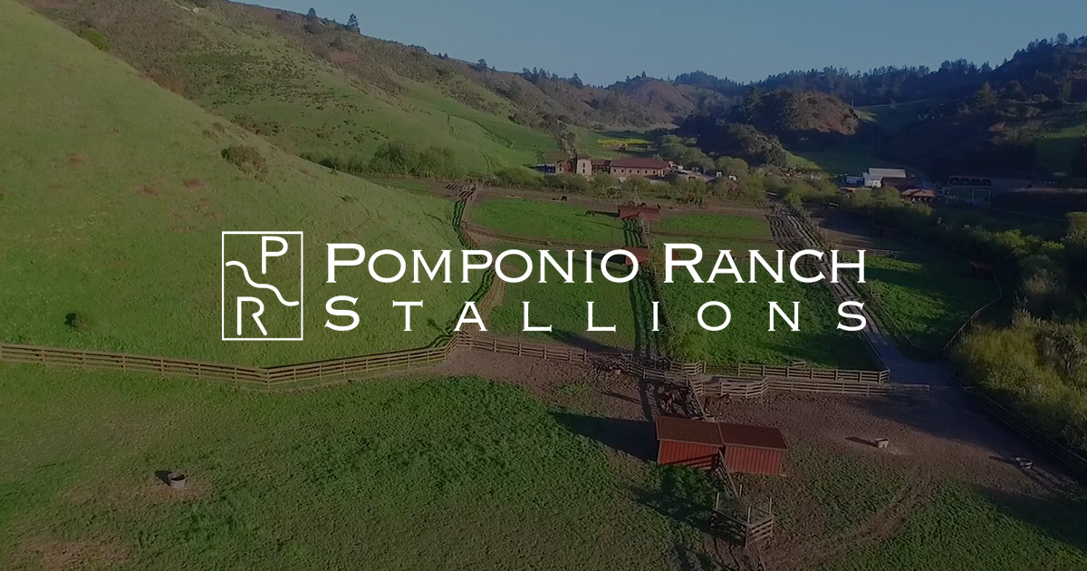 Home - Pomponio Ranch Stallions