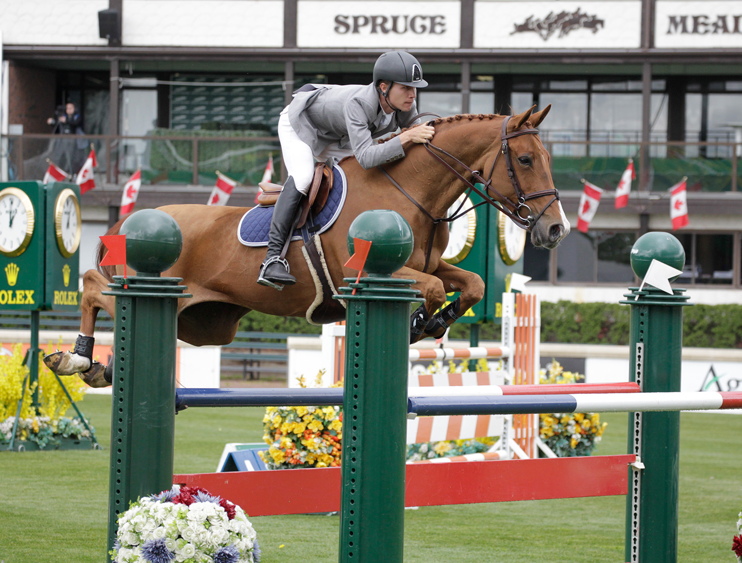 Tembla - Pomponio Ranch Stallions