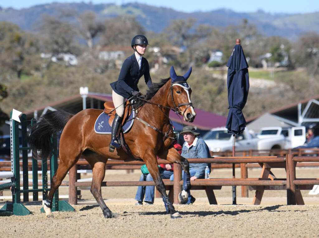 Uphoria PR - Pomponio Ranch Stallions